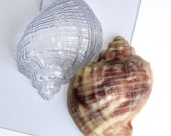 Seashell mold | Etsy