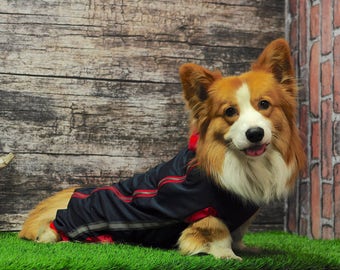 Corgi clothes | Etsy