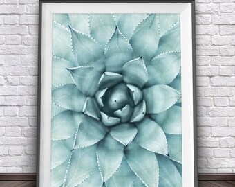 Blue agave | Etsy