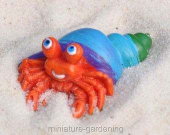 Hermit crab shell | Etsy