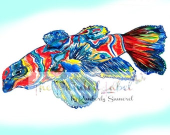 Mandarin fish | Etsy