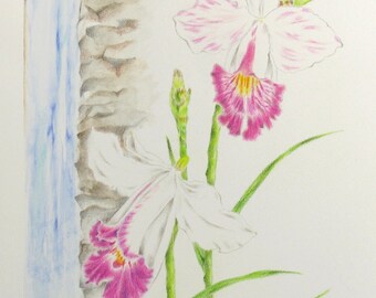 Orchid drawing | Etsy