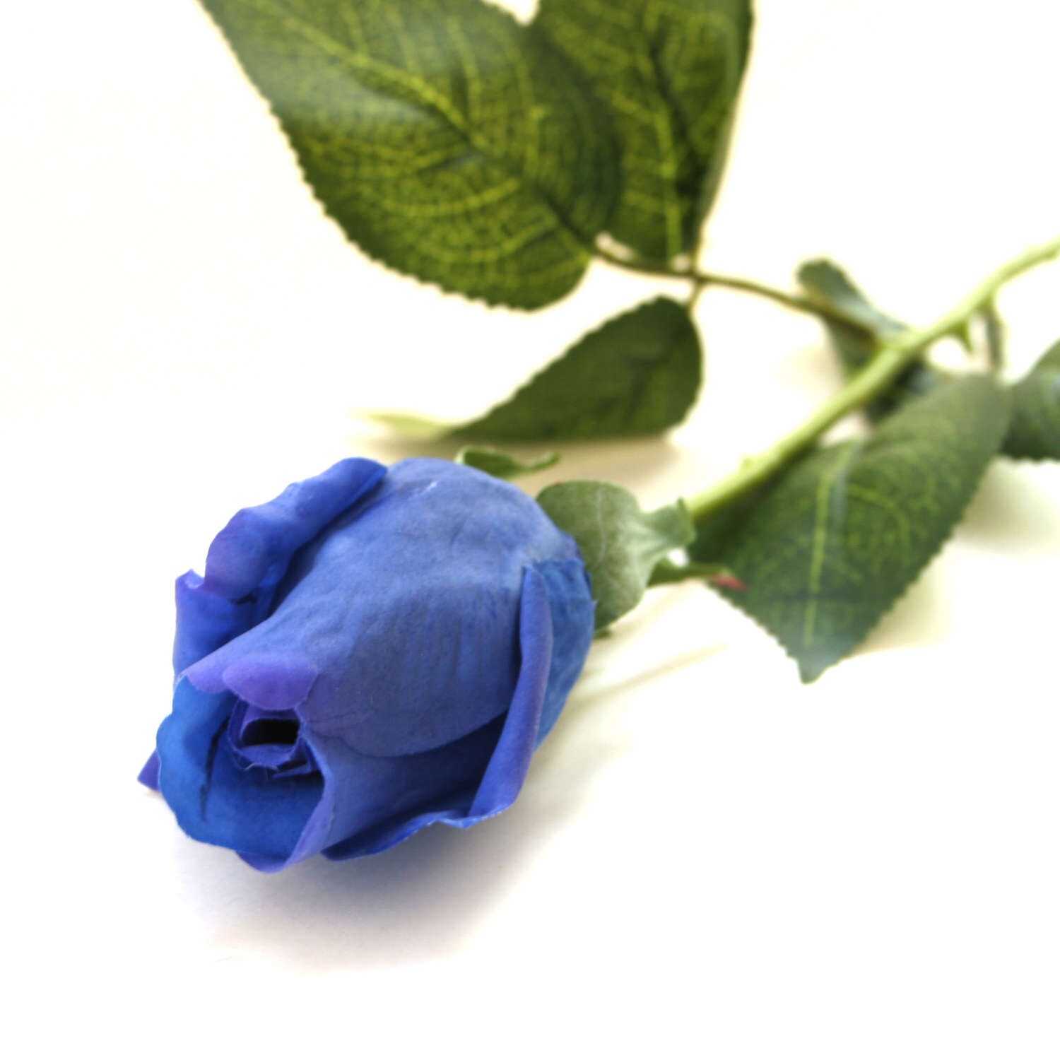 1 Long Stem Gorgeous Real Touch Royal or Navy Blue Rose Bud- Artificial ...