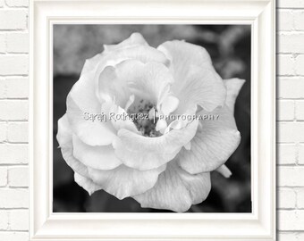 White rose print | Etsy