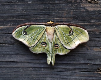 Moth sculpture | Etsy