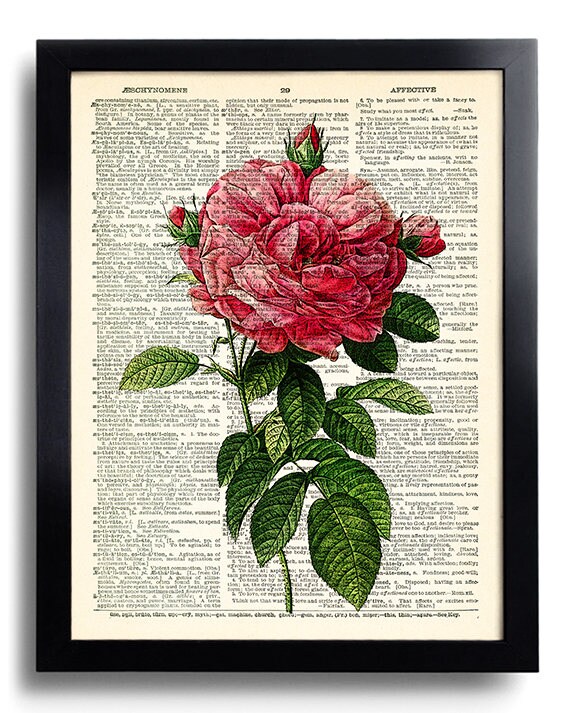 Flower Rose Art Print Vintage Book Print Recycled Vintage