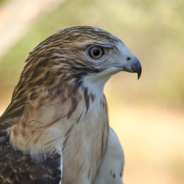 Travel Train and Fine Art photography of NYC & by ImagesbyJonathan