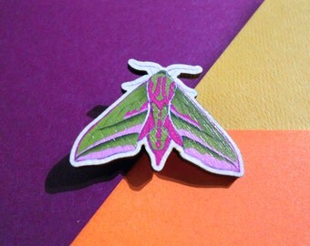 Hawk moth | Etsy
