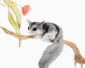 Sugar glider art | Etsy