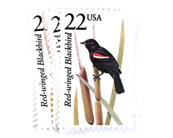 Redwing blackbird | Etsy