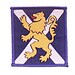 Royal Regiment of Scotland TRF Badge TF79