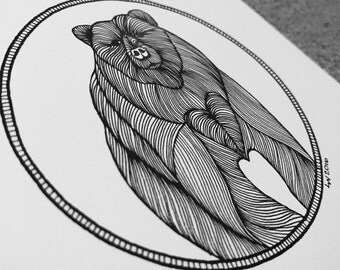 Bear line drawing | Etsy