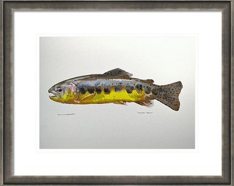 Golden trout | Etsy