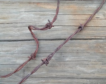 Rustic Western Rusty Barbed Wire 5 Hearts Cinquefoil Prairie