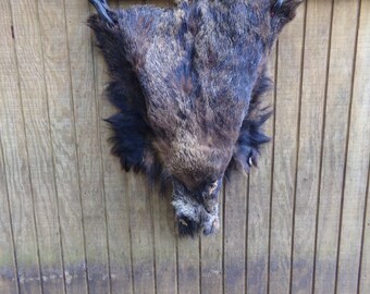 Wild boar hide | Etsy