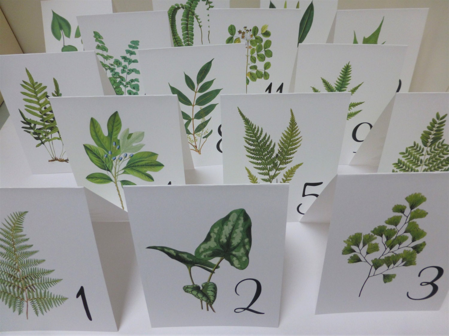 Woodland Table Cards Woodland Table Numbers Woodland