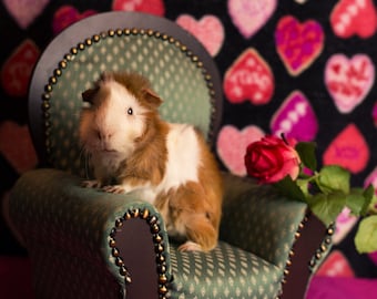 Valentine guinea pig | Etsy