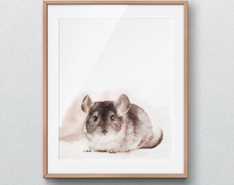 Chinchilla art | Etsy