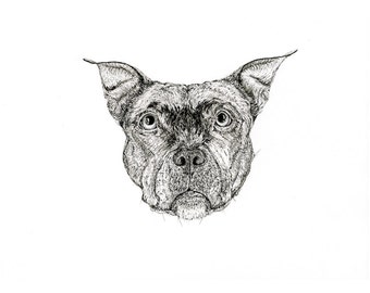 Pit bull drawing | Etsy