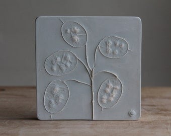 Rachel Dein Botanical Casts in Plaster and Concrete by RachelDein