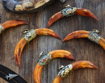 Wild boar teeth | Etsy