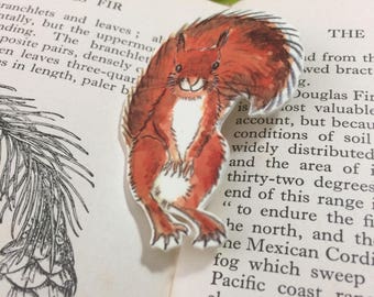 Squirrel brooch | Etsy