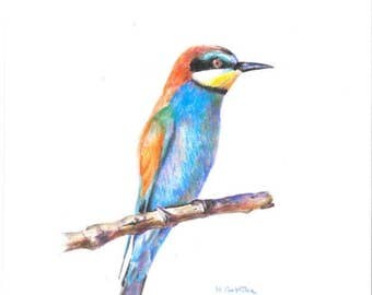 Bee eater | Etsy