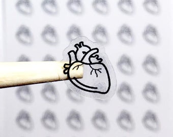 Anatomical heart | Etsy