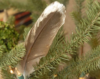 Canada goose feather | Etsy