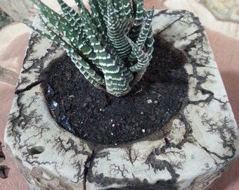 Fractal design | Etsy