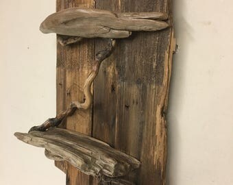 Driftwood shelf | Etsy