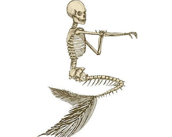 Mermaid skeleton | Etsy