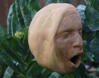 Face birdhouse | Etsy