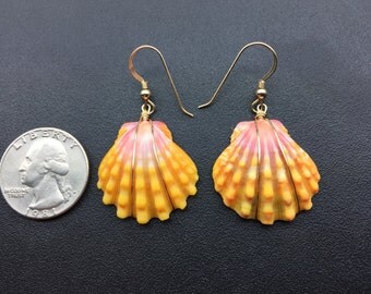 Wire wrapped shell | Etsy