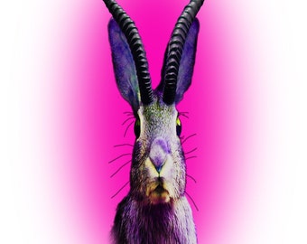 Rabbit with horns | Etsy