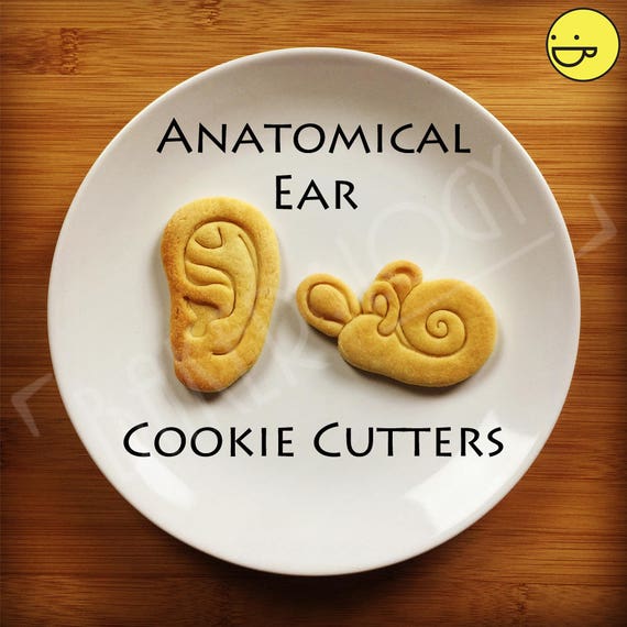 Anatomical Human Inner Ear Cookie Cutter Cochlea Biscuit