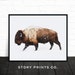 Buffalo Print Bison Print Large Wall Art Print Farmhouse