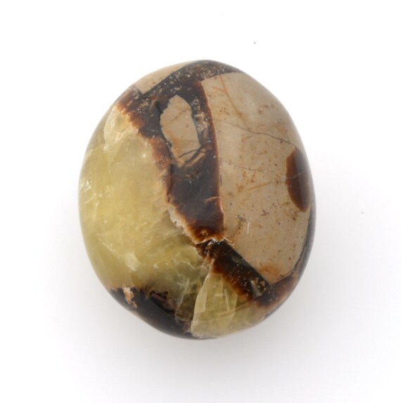 septaria polished stone septarian crystal dragon stone
