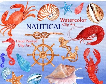 Seahorse watercolor | Etsy