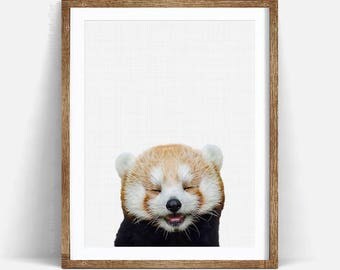 Panda decor | Etsy
