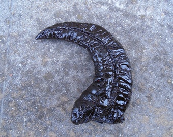 Raptor claw | Etsy