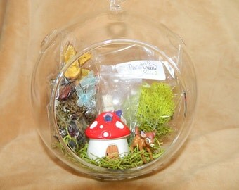 Ladybug terrarium | Etsy