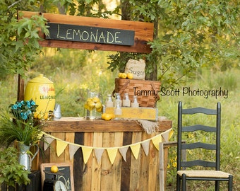 Items similar to Lemonade Stand Printable Poster on Etsy