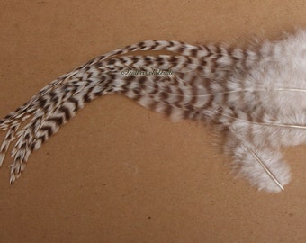 Long Feather Hair Extensions Craft Supply by featherswholesale