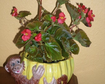 Monkey planter | Etsy