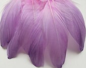 Quality Craft Feathers by feathercraftshop on Etsy