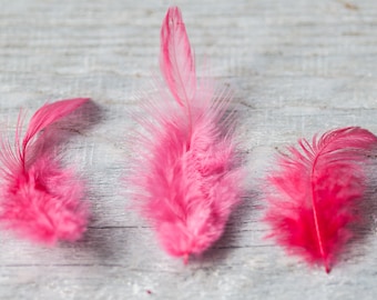 Bright Pink Feathers Small Feathers Supplies for Crafts