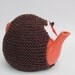 Robin Tea Cosy Knitting Pattern