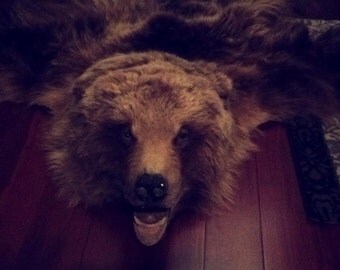 Bear skin rug | Etsy