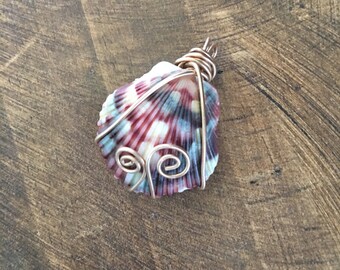Items similar to small conch sea shell wire wrapped necklace on Etsy